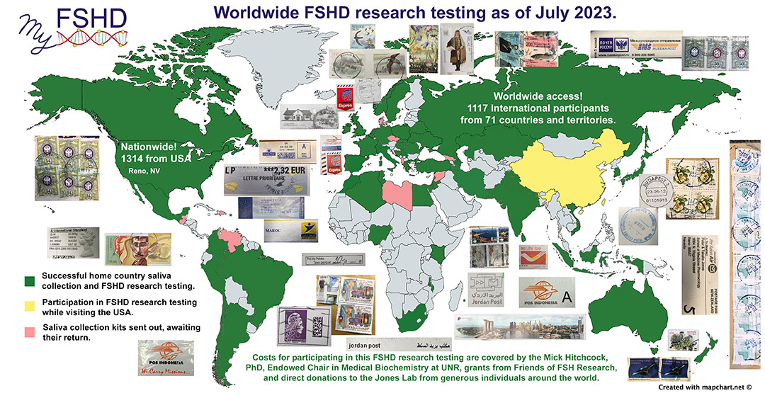 FSHD testing - MyFSHD
